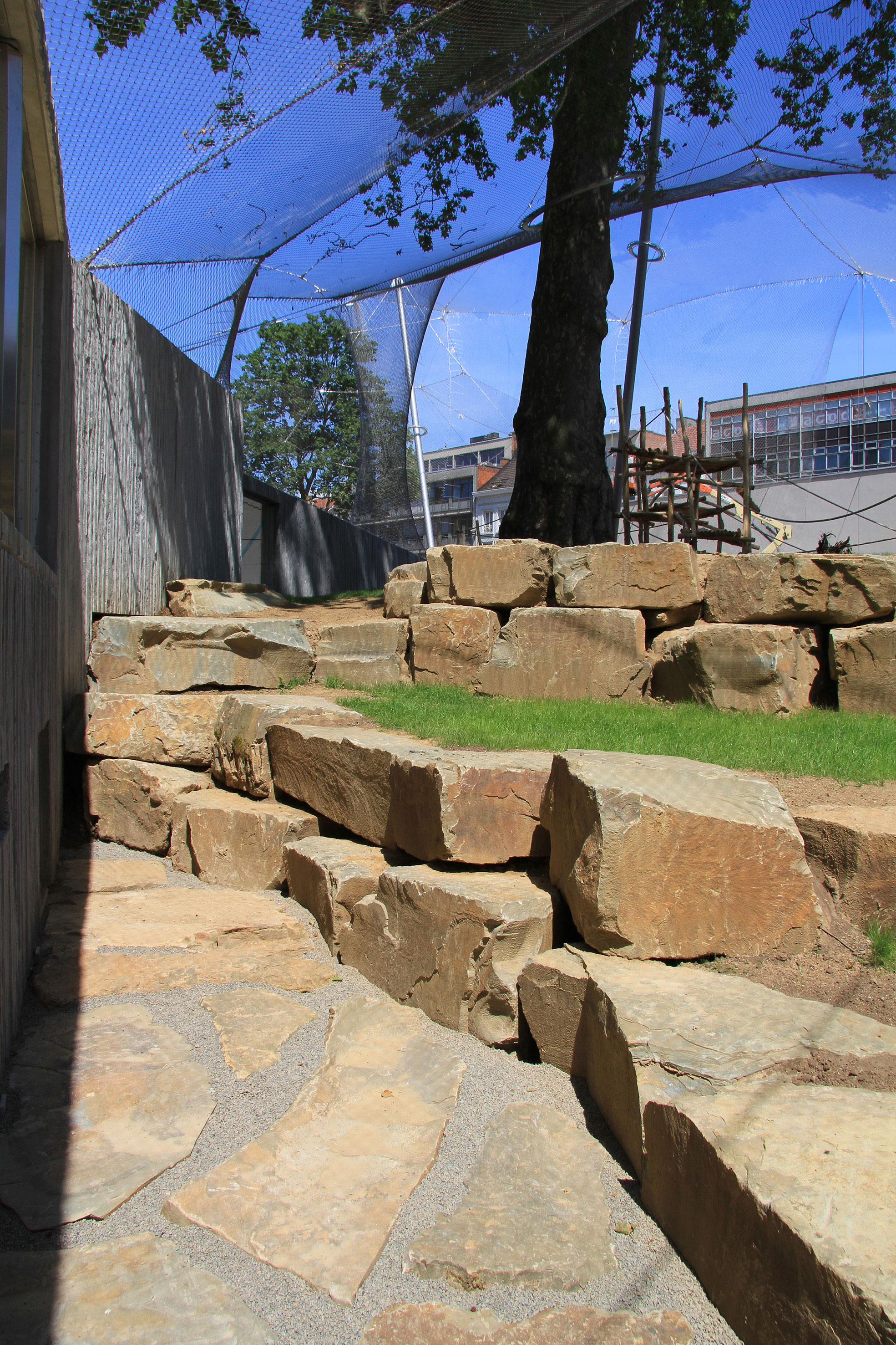 enrfp-zoo d’anvers – GBA OFFICIEL